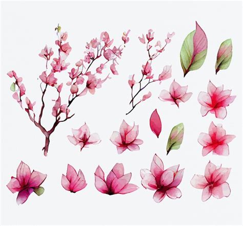 Conjunto de belas flores em aquarela coleção de flor de cerejeira rosa