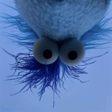 Hall Of Fame Operation Puppet