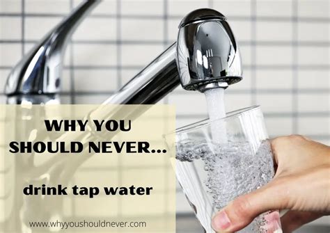Why You Should Never Drink Tap Water Why You Should Never