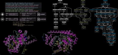 Protein Function Prediction Online Tools At Tasha Hyman Blog
