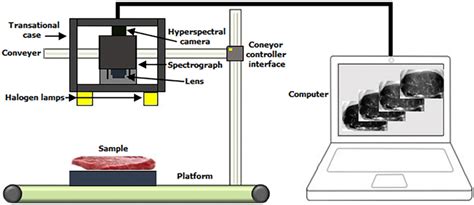 Integration Of Hyperspectral Imaging Technology With Spectroscopy And