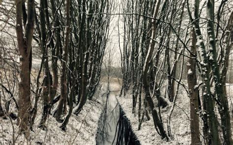 Tør Du Dele Viden Belastende Begavet