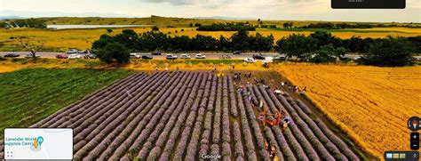 Vivasan Burgas Здравейте Днес ще Ви представим страхотен продукт за натъртване ожулване но