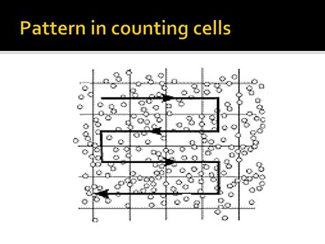 Cell Counting