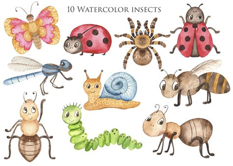 Watercolor Insect Collection