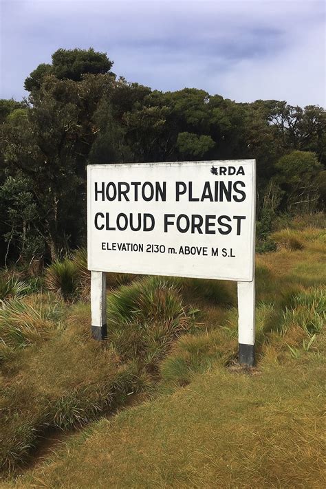 Jinapriya 𝗪𝗼𝗿𝗹𝗱 𝗛𝗲𝗿𝗶𝘁𝗮𝗴𝗲 𝗛𝗼𝗿𝘁𝗼𝗻 𝗣𝗹𝗮𝗶𝗻𝘀 𝗖𝗹𝗼𝘂𝗱𝘆 𝗙𝗼𝗿𝗲𝘀𝘁 ඉහල මධ්‍යම කඳුකරයට මෙන්ම ශ්‍රී ලංකාවටම