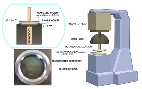 Rheometer Synapse