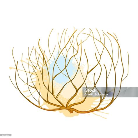 벡터 롤링 사막 공장 흰색 배경에 고립 된 갈색과 베이지색에 텀블 0명에 대한 스톡 벡터 아트 및 기타 이미지 0명 갈색 개척시대의 서부 Istock