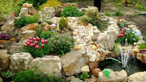 Създаване на алпинеум в градината Идеи по садоводству Идеи для