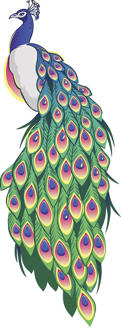 Peacock Cartoon Clip Art