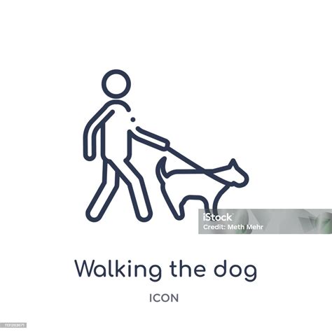 선형 걷기 동작 개요 모음에서 개 아이콘입니다 흰색 배경에 고립 된 개 벡터를 걷는 얇은 선 산책 개 트 렌 디 일러스트 아이콘에 대한 스톡 벡터 아트 및 기타 이미지