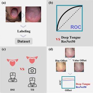 The Overall Design Of Our Study A Dataset Development B Validation Download Scientific