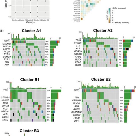 Somatic Mutations Analysis A The Total Mutation Rate Of Different Download Scientific