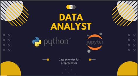 Be Your Data Analyst Do Analysis And Visualization In Python By Aliramzan Fiverr
