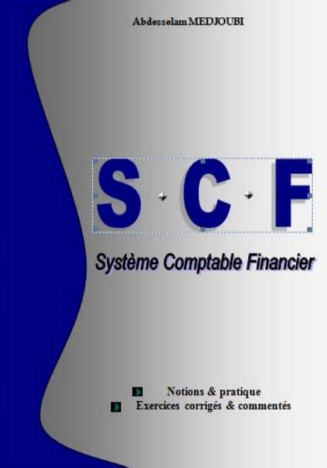 《scf》 Système Comptable Financier