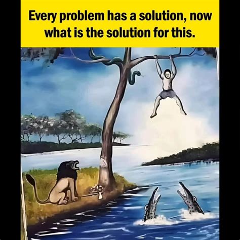 Simple Solution Album On Imgur