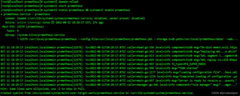 Prometheus、grafana安装 部署 Nginx代理 监控linux普罗米修斯监控nginx Csdn博客