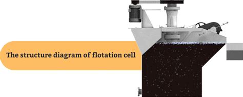 Flotation Cell For Separating Non Ferrous Metals Ftm Machinery Ftm Machinery