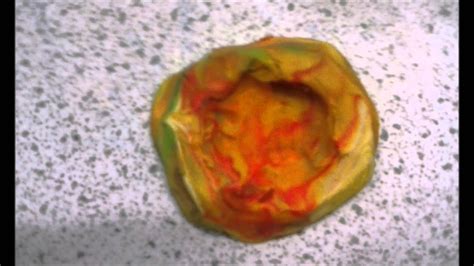 Phagocytes And Lymphocytes Youtube