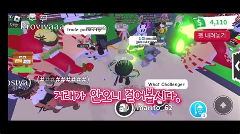 네온 발꼬기만들고 가치알아보기입양하세요15화 Youtube