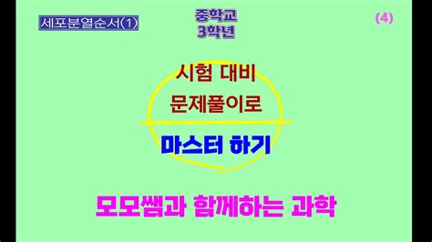 중학교 3학년 과학ㅣ4번째ㅣ세포분열순서1ㅣ시험대비 문제풀이ㅣ모모쌤과 함께하는 과학 Youtube