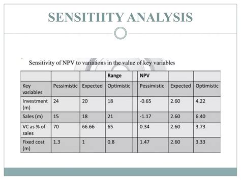 Project Risk Analysis Ppt