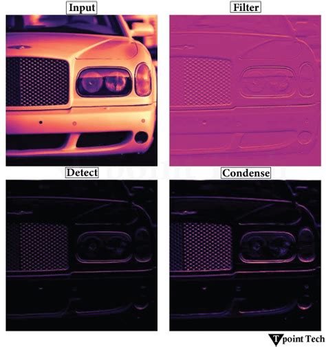 Max Pooling Tpoint Tech