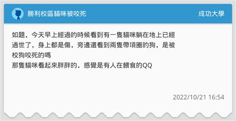 勝利校區貓咪被咬死 成功大學板 Dcard