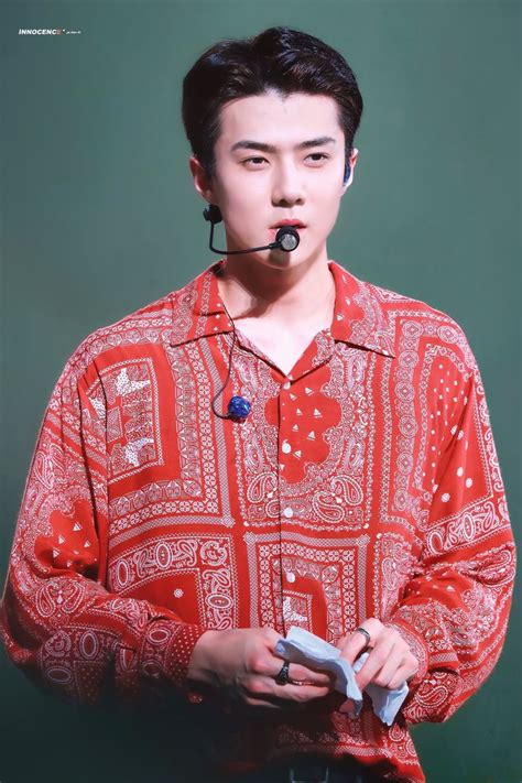 Pin On EXO SEHUN