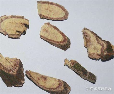 带你识别鸡血藤 知乎