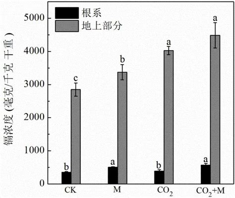 利用二氧化碳加富和内生菌互作提高植物提取效率的方法与流程 2