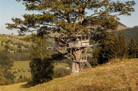 Small Tree House Stock Photo Image Of Hill Construction