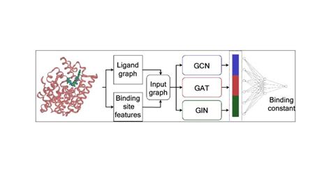 Sergei Rybalko On Linkedin Graphlambda Fusion Graph Neural Networks For Binding Affinity