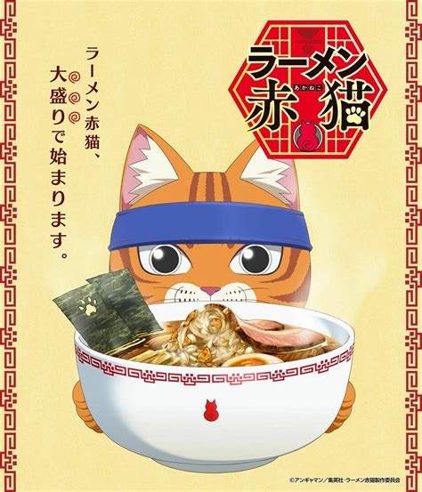 新的吸猫动画Jump 拉面赤猫确定动画化 绝对领域