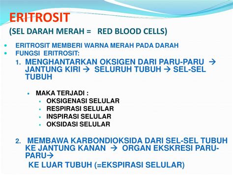 PPT HEMATOLOGI PowerPoint Presentation Free Download ID
