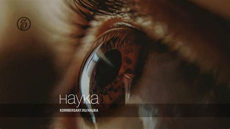 «Дислектор как искусственный интеллект помогает выявить дислексию у детей