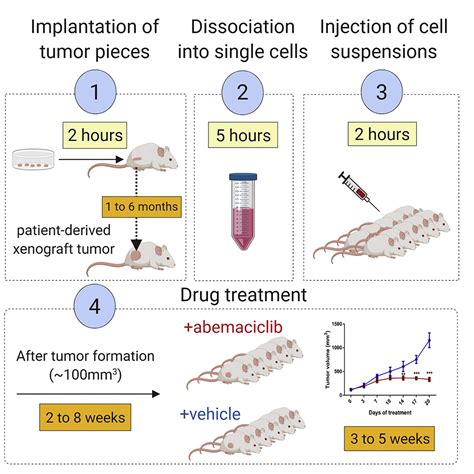 Cell Press STAR Protocols