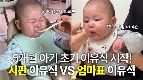 육아 브이로그 5개월 아기 초기이유식 시작 시판이유식 Vs 엄마표 이유식 Youtube