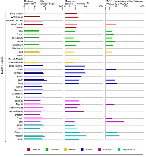 Idh1 Gene Genecards Idhc Protein Idhc Antibody