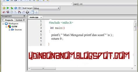 Printf Dan Scanf Beserta Contohnya