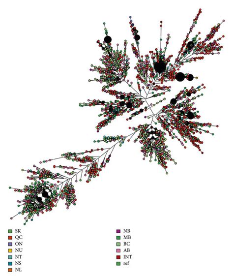 A Dendrogram Of All Miru Vntr Patterns And Clusters In The Nrcm