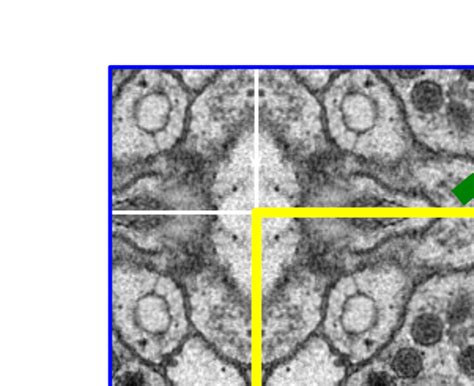 Pytorch U Net Cornors Blog