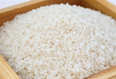 სპეციალისტის პასუხი რატომ არ ღირს სწრაფი მომზადების ბრინჯის ყიდვა