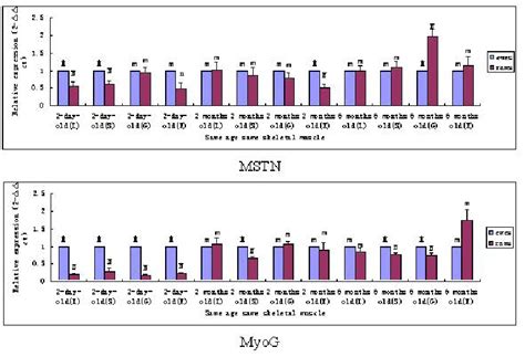 Gender Effect On The Expression Of The Sheep MSTN And MyoG Genes M N Download Scientific