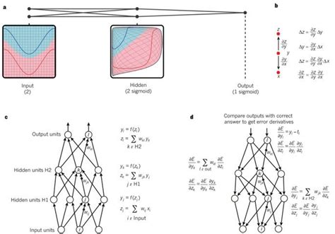 Figure Fully Connected Neural Network Fcnn 4 Download Scientific Diagram