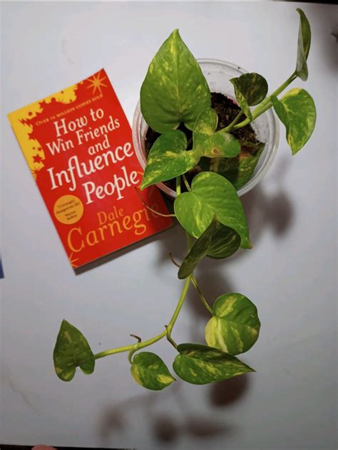 Keeplearning Keephustling People Intelligence Book Reading Simran Kumari