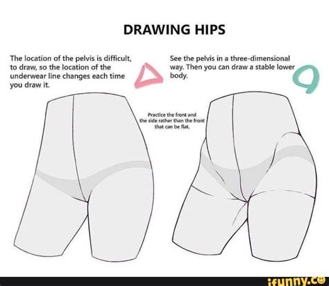 Drawing Hips The Location Of The Pelvis Is Difficult See The Pelvis In A Three Dimensional To