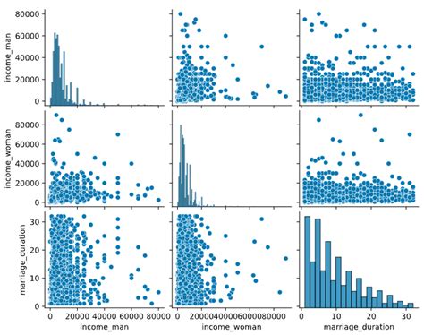A Pairplot Of Partner Incomes And Marriage Duration A Pairplot Of Partner Incomes And Marriage Duration