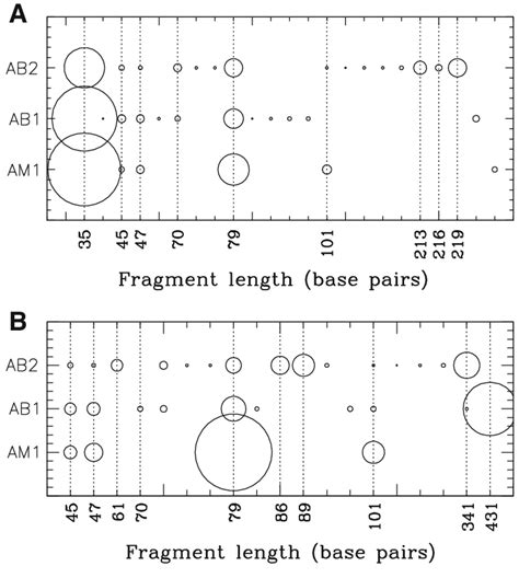 T Rflp Analysis For Bacterial Communities From Los Azufres Samples Download Scientific Diagram