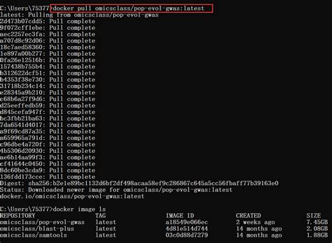 docker pull越来越慢的解决方法 小鲨鱼 博客园
